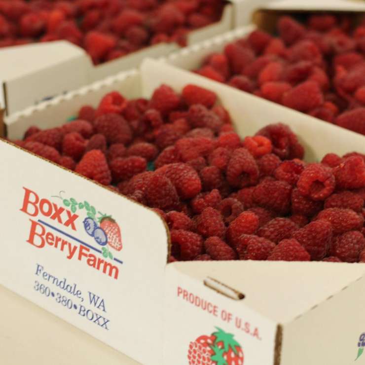 Berries - Boxx Berry Farm