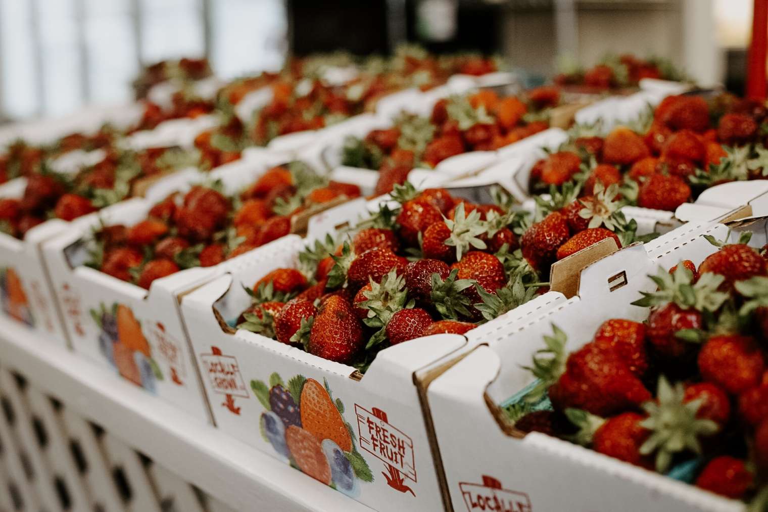 Home - Boxx Berry Farm