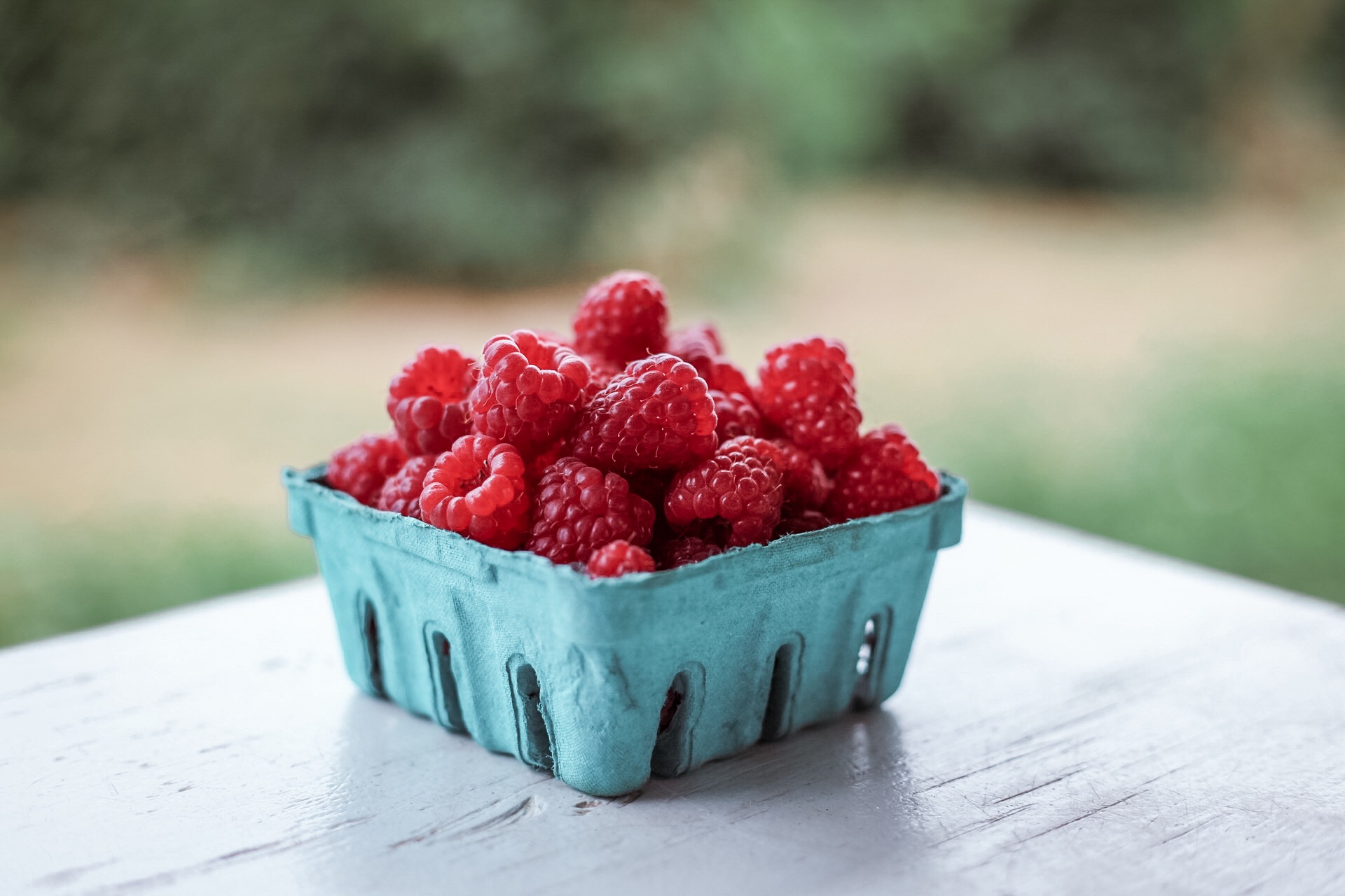 Home - Boxx Berry Farm