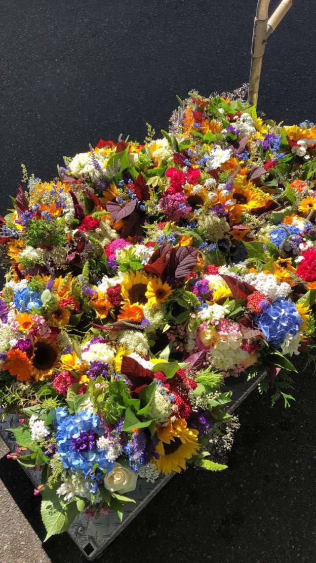 Home - Boxx Berry Farm