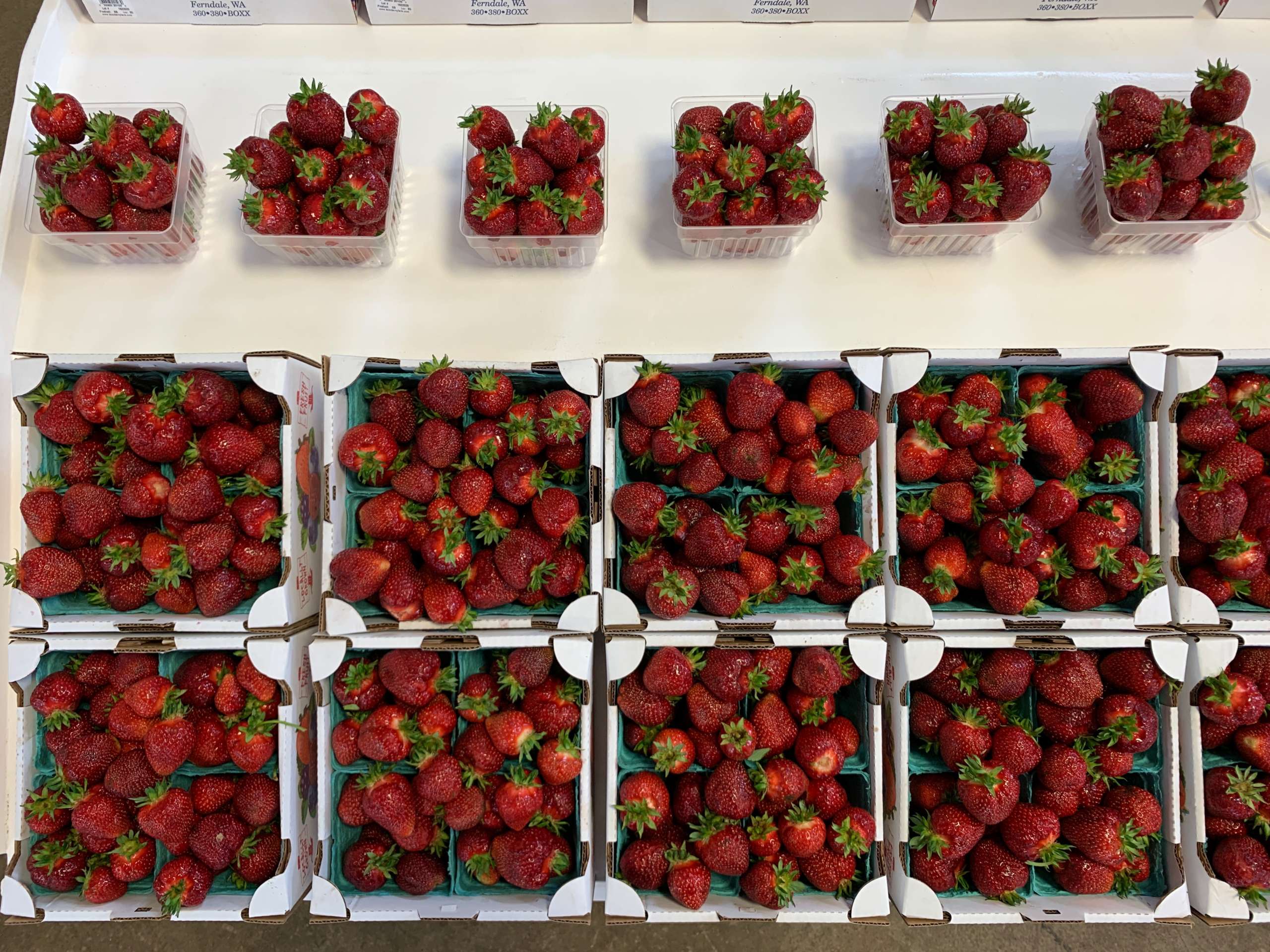 Strawberries - Boxx Berry Farm