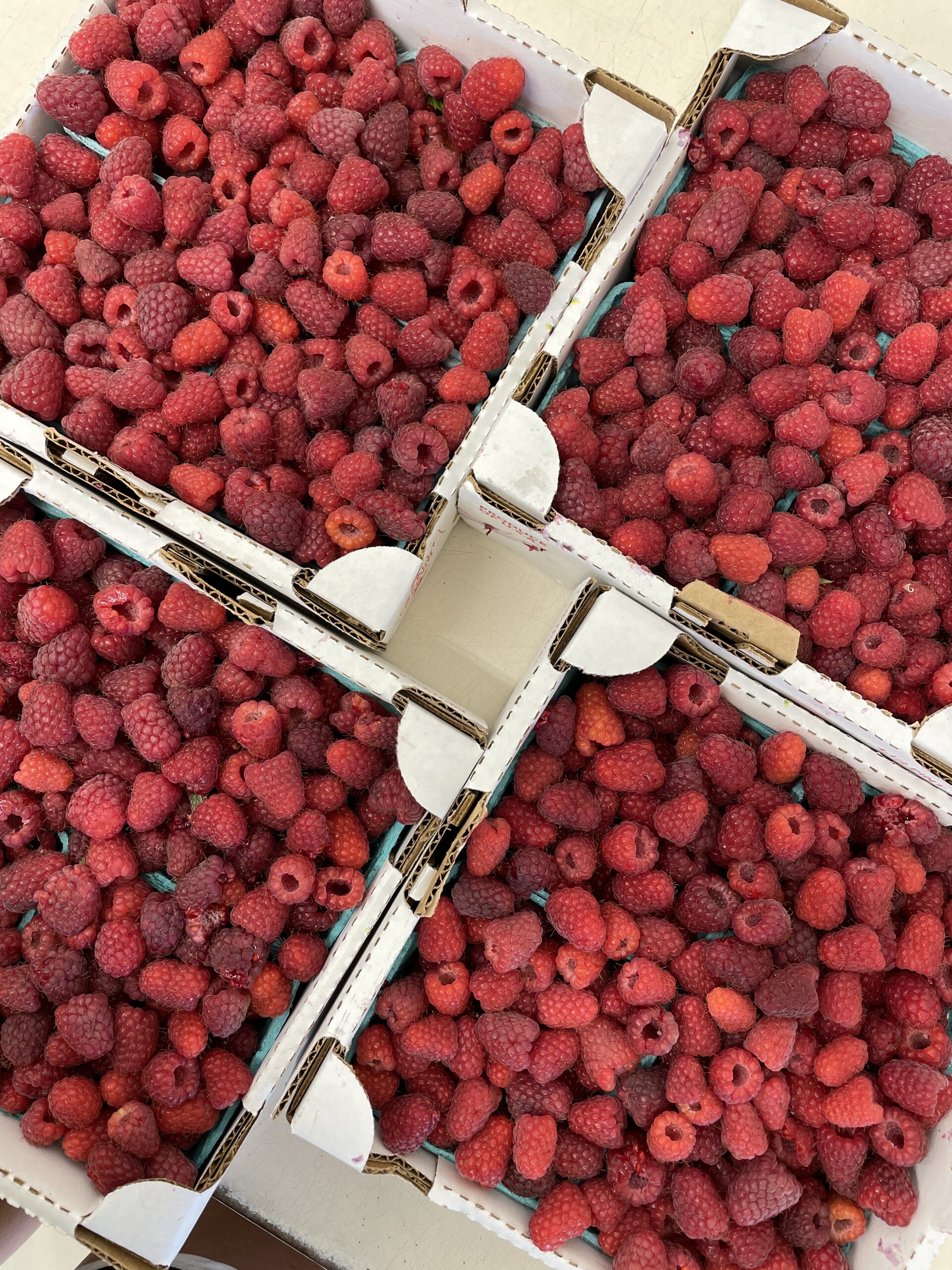 Raspberries Now Available - Boxx Berry Farm