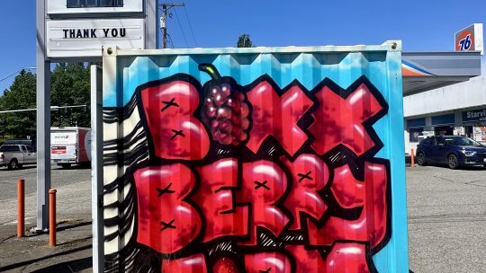 New Bellingham Stands - Boxx Berry Farm